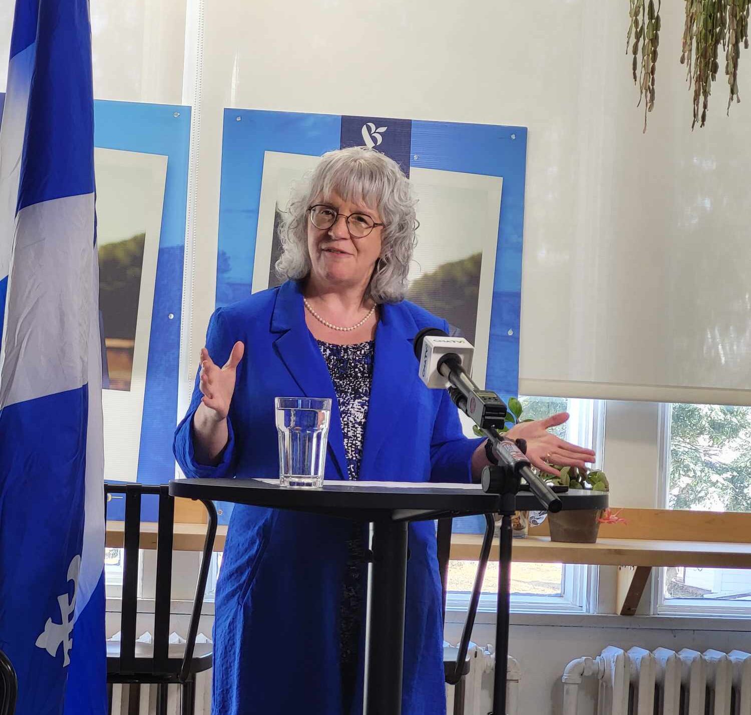 Diane Sénécal mise sur les organismes communautaires et le renforcement ...