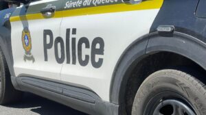 Un incendie de forêt contenu à Saint-Onésime-d'Ixworth - Info-web