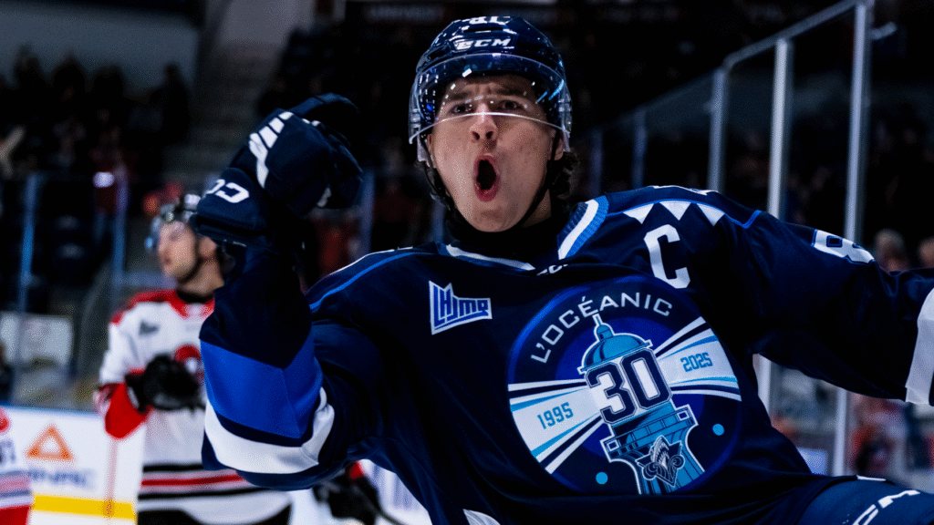 LHJMQ : Les exploits de Jacob Mathieu insuffisants face aux Wildcats ...